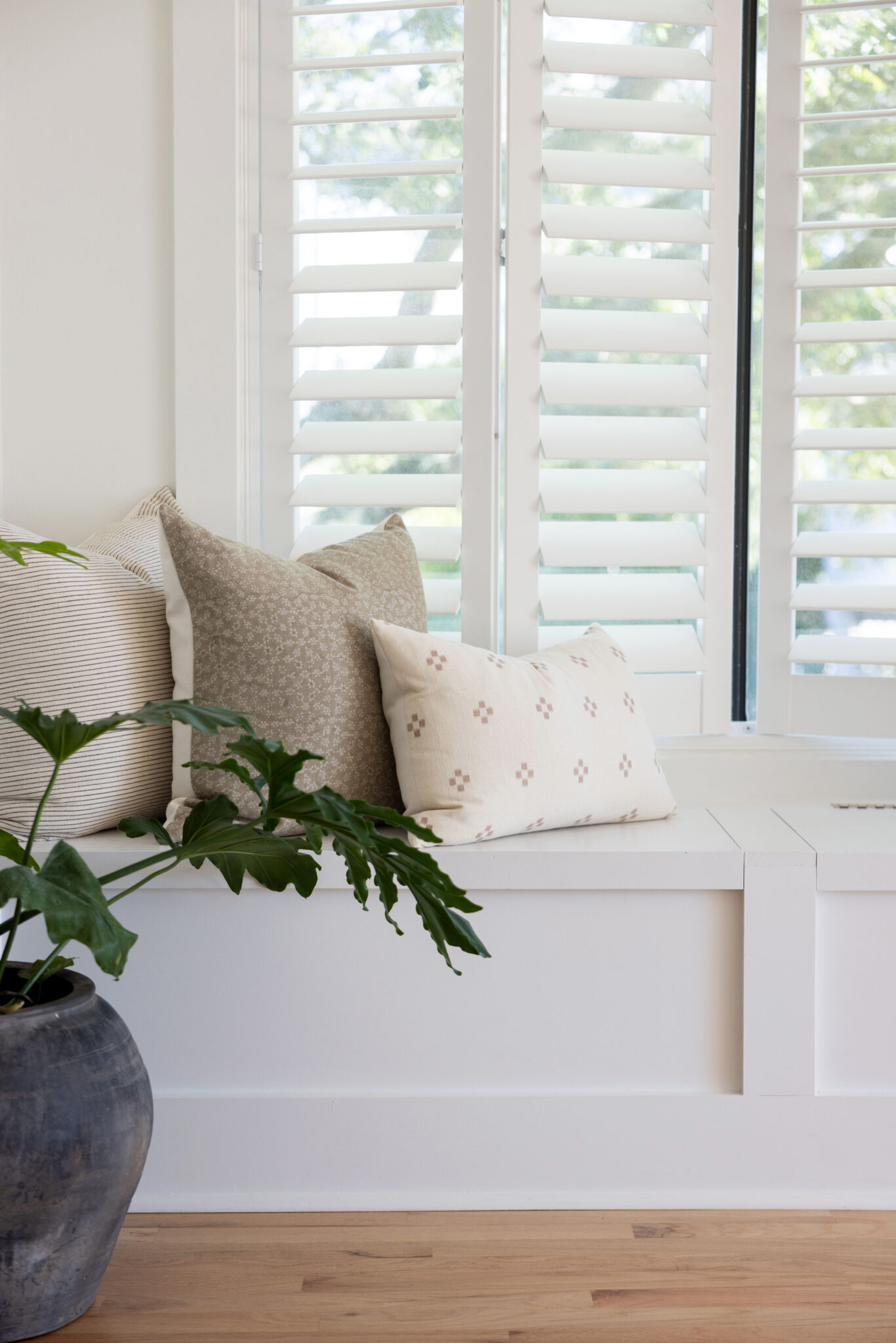 Home - CASS Design Co.